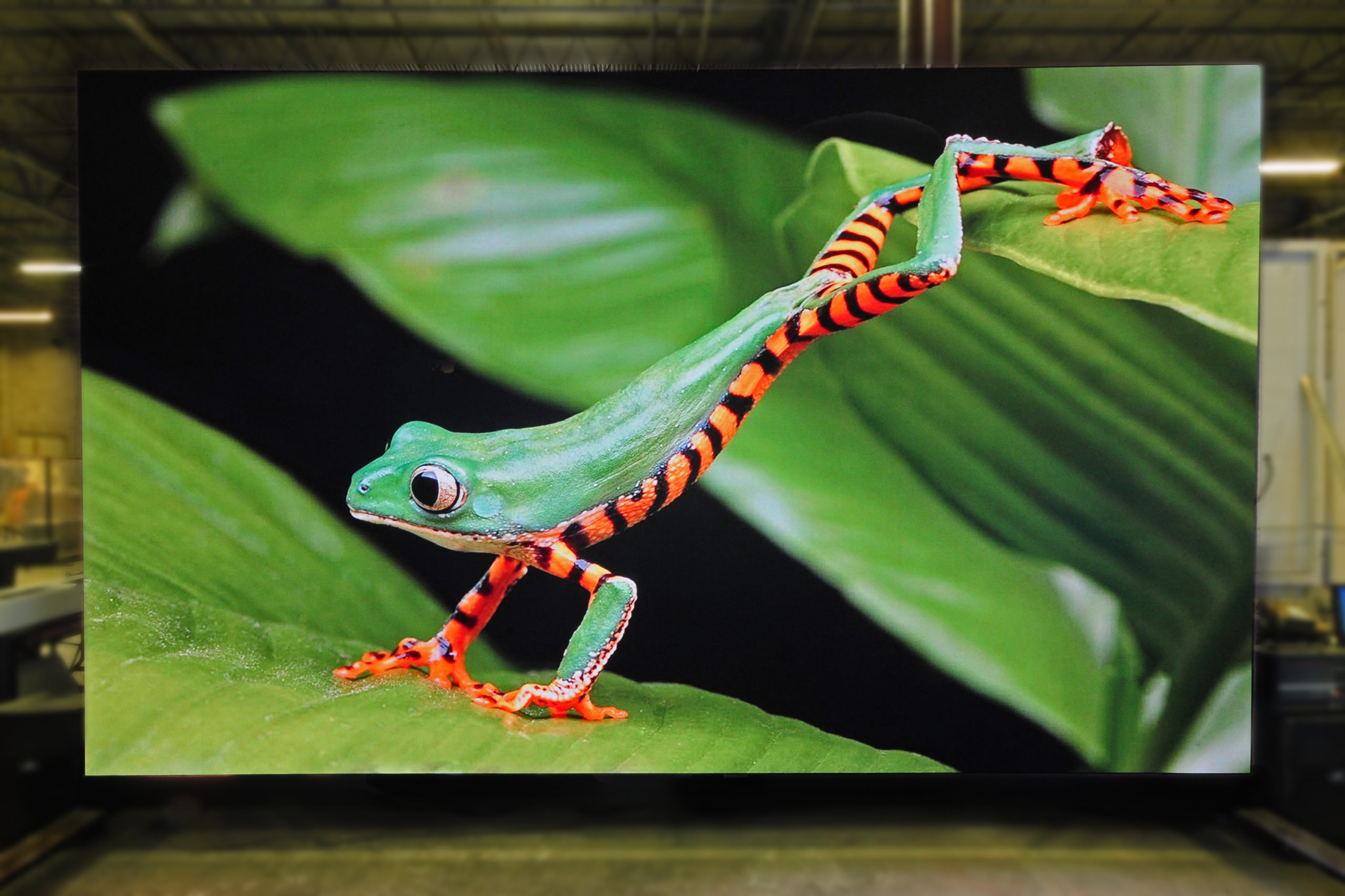 Gallery - Denyse Signs